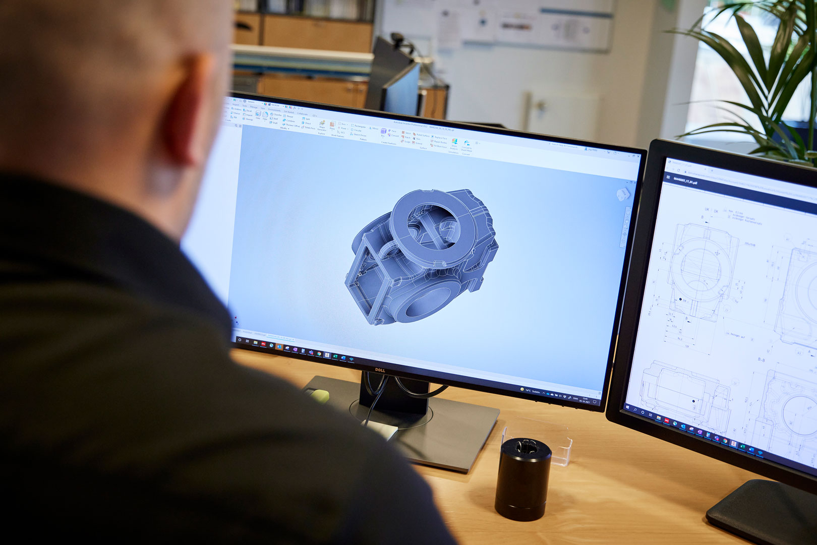 Udviklingspartner | BIRN